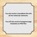 Goodnotes Organic Chemistry Editable Molecules and Common Functional ...