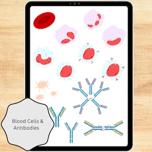 Digital Stickers for Biology, Biochemistry, Nursing and Medical ...