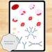 Digital Stickers for Biology, Biochemistry, Nursing and Medical ...