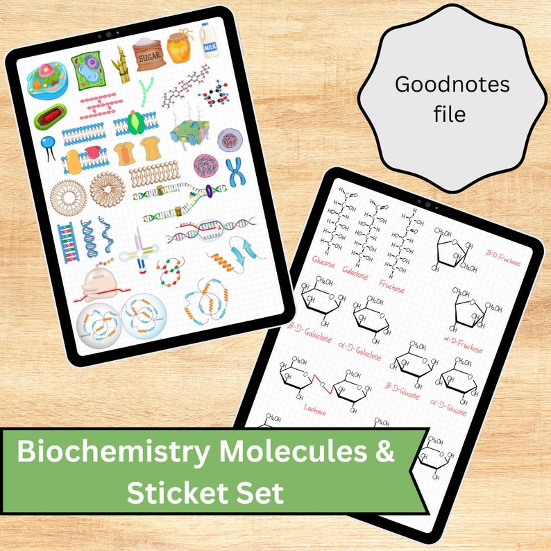 Biochemistry Digital Stickers and Biomolecules Structures and - Etsy