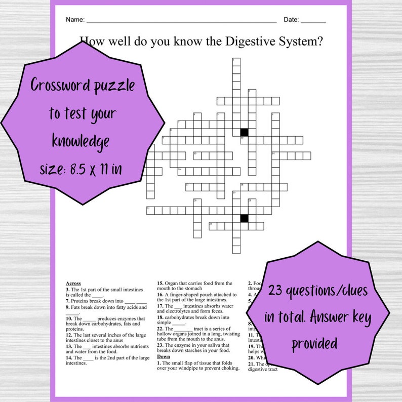 Digestive System Learning and Studying Resources - Etsy