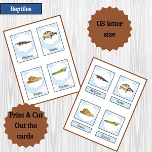 Montessori Inspired Animals 3-part Classification Flashcards Featuring ...