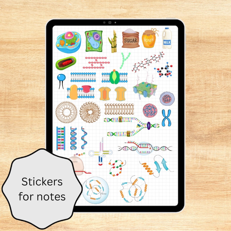 Biochemistry Digital Stickers and Biomolecules Structures and - Etsy