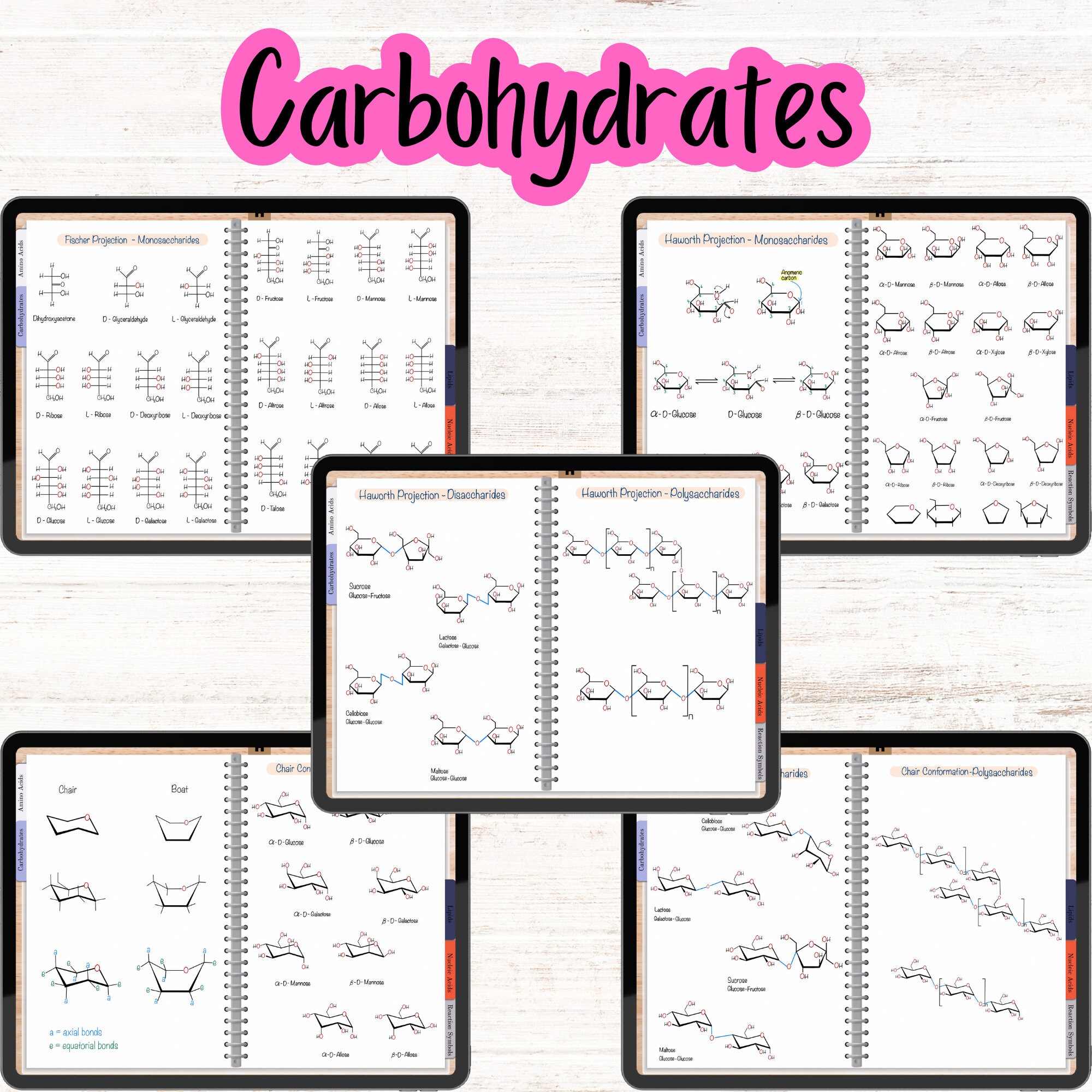 Biochemistry Molecules Sticker Set With Reaction Arrows and - Etsy