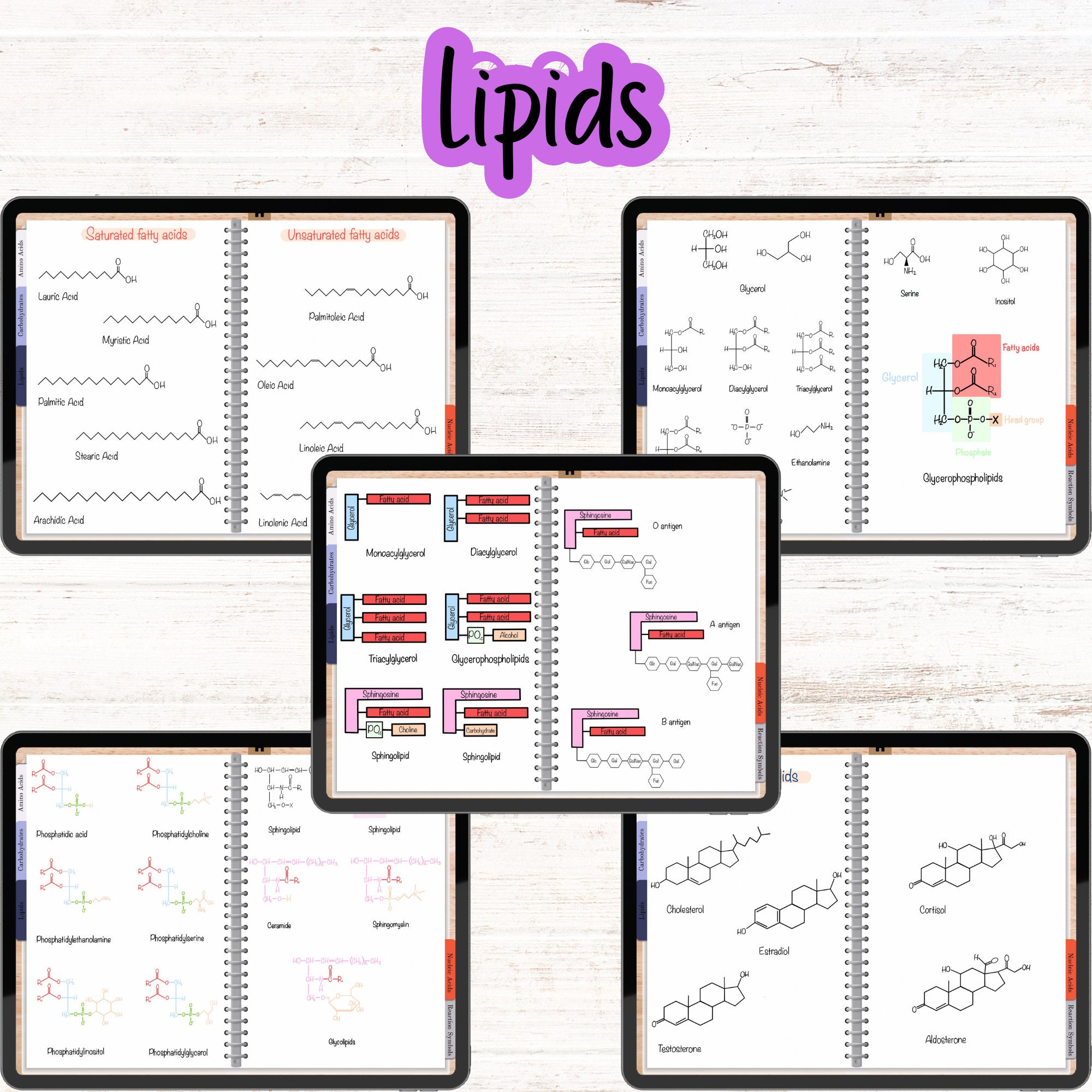 Ultimate Biochemistry Goodnotes Editable Molecular Elements Digital ...