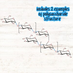 Carbohydrates Digital Sticker Set | Educational & Functional Chemistry ...
