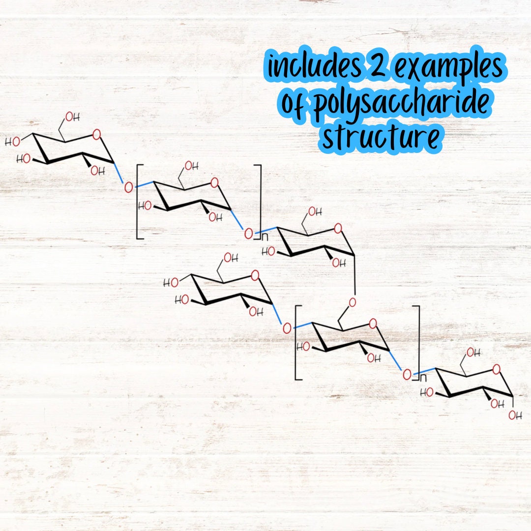 Carbohydrates Digital Sticker Set | Educational & Functional Chemistry ...