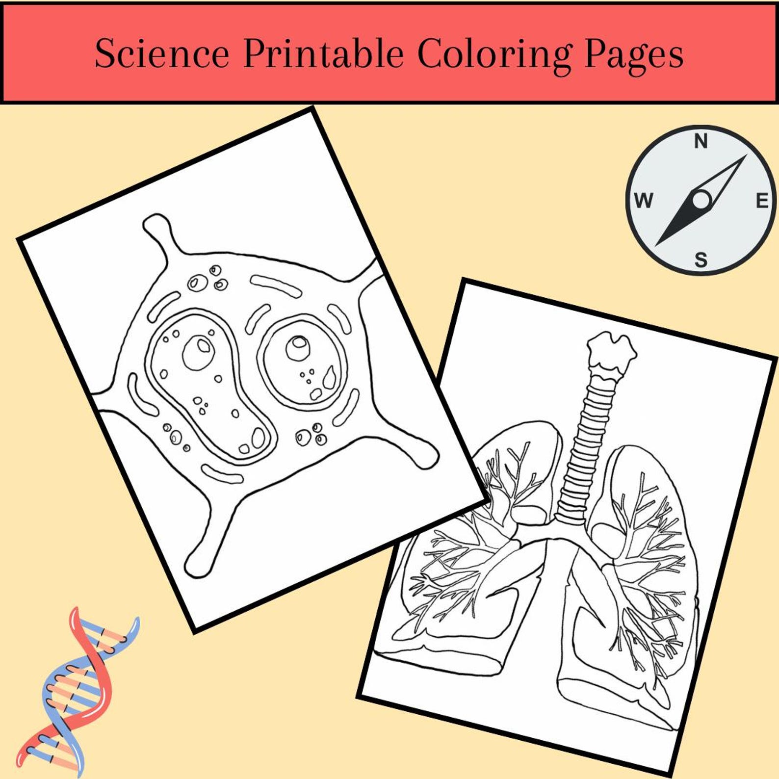 Science Printable Coloring Pages for Kids - Etsy
