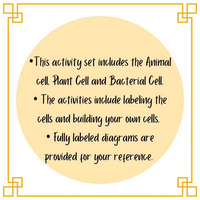 Cell Structure Activity Set: Animal, Plant & Bacteria Cell Models ...