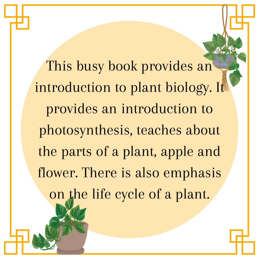 Plants Busy Book: Interactive Learning for Kids (PDF) - Etsy