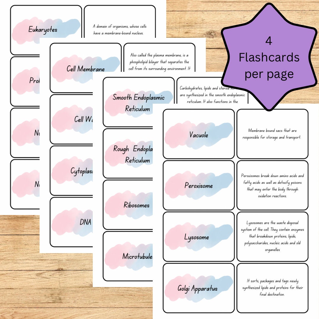 Animal Cell, Plant Cell, Bacteria Cell Flashcards Cell Structure ...