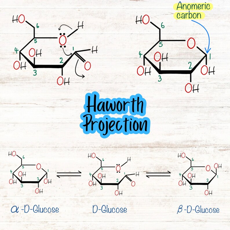 Carbohydrates Digital Sticker Set | Educational & Functional Chemistry ...