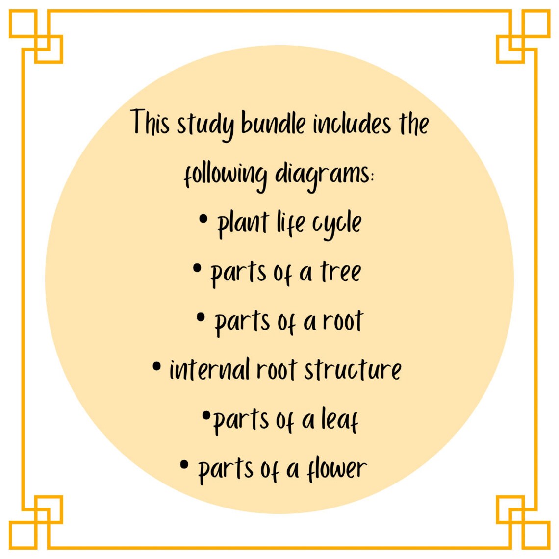 Parts of a Plant Printable Study Bundle Homeschool Plant Biology Unit ...