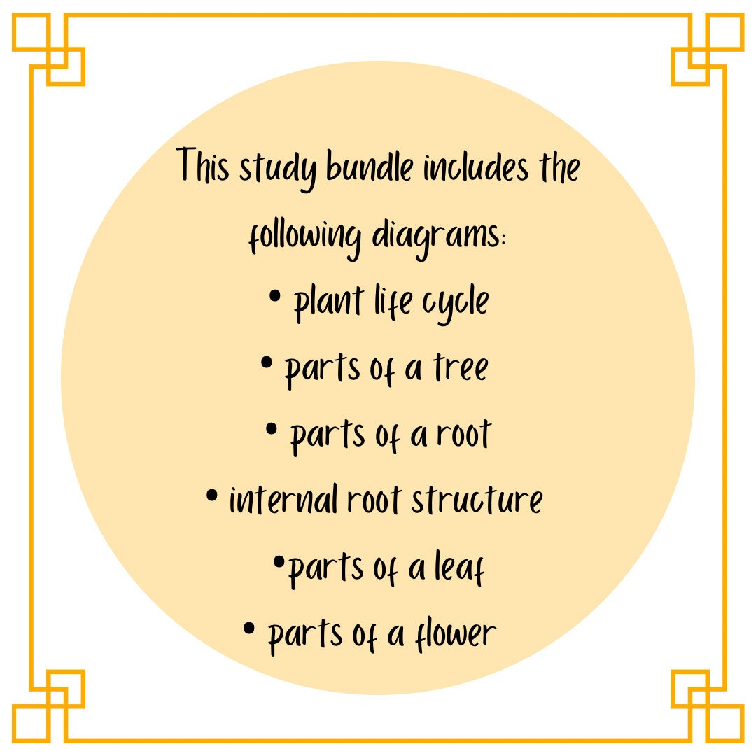 Parts of a Plant Printable Study Bundle Homeschool Plant Biology Unit ...