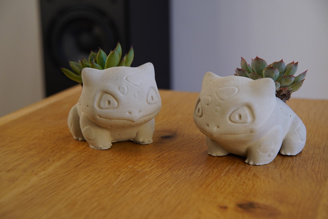 Double Pack Bulbasaur Flower Pot Made of Concrete - Etsy