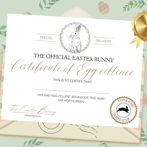 EDITABLE Official Easter Bunny Letter Bundle From the Desk of the ...