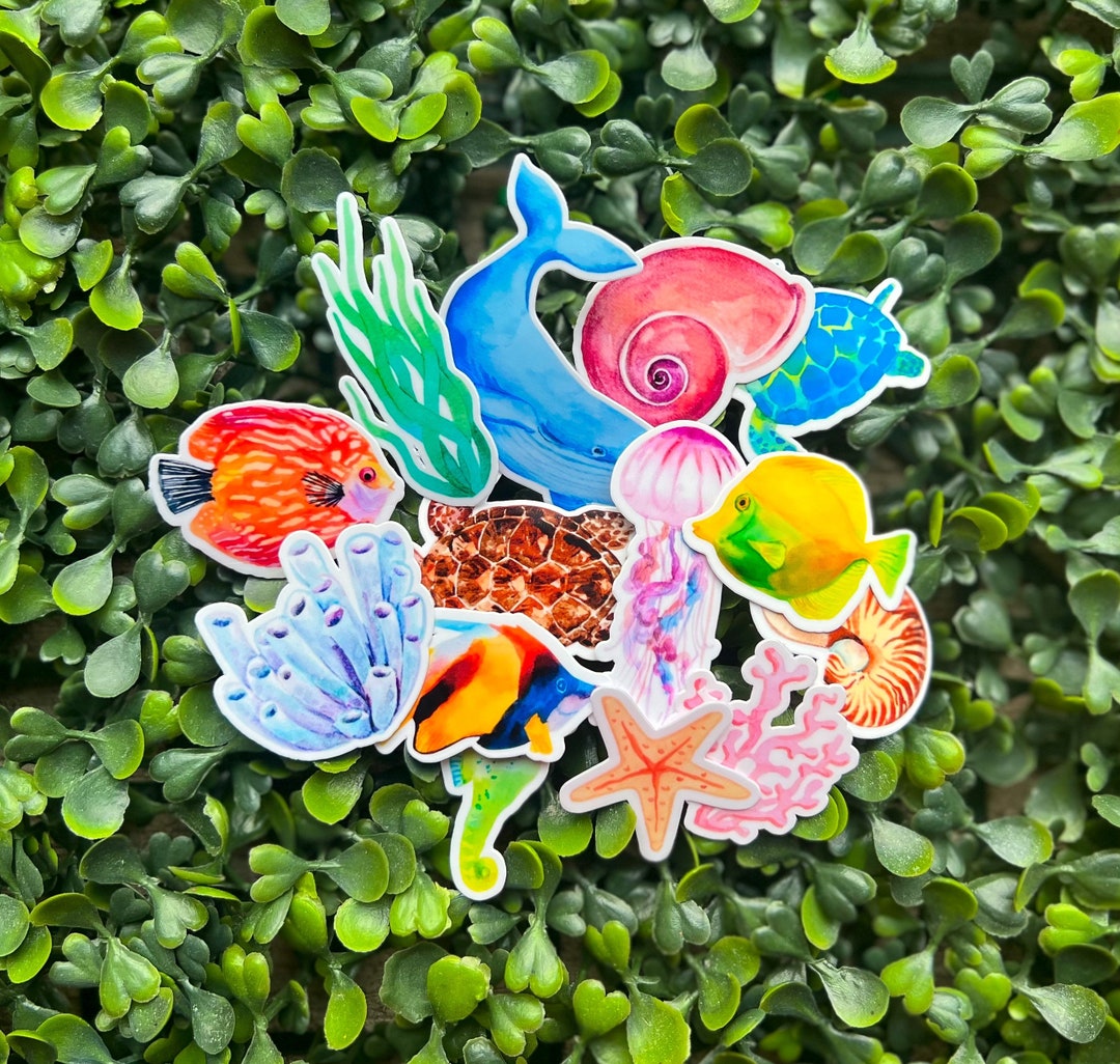 Sea Life Stickers 14 Stickers Watercolor Stickers - Etsy