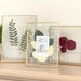 Set of 3 Double Glass Frame for Pressed Flowers Polaroid and - Etsy