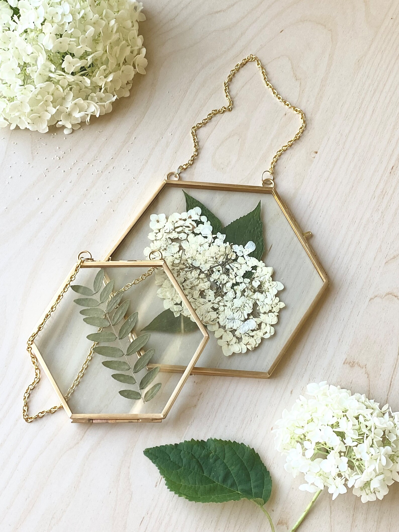 Set of 3 or 4 Double Glass Frame for Pressed Flowers Small - Etsy