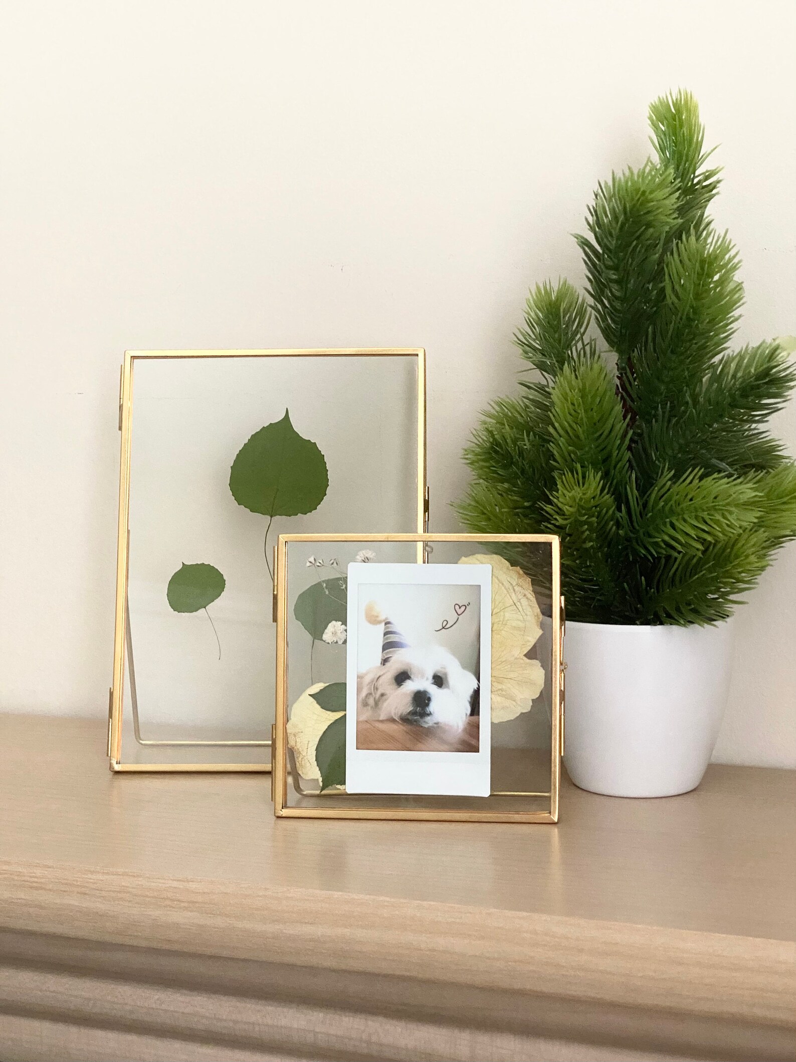 Set of 3 Double Glass Frame for Pressed Flowers Polaroid and - Etsy