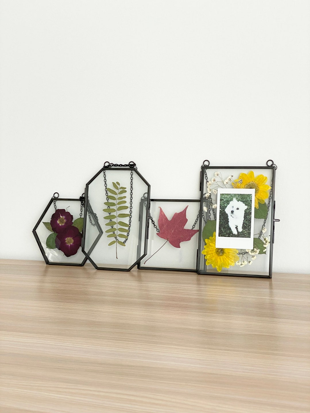 Cute Geometric Double Glass Frames for Keepsakes and Mementoes Pressed ...