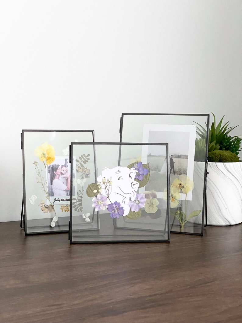 Set of 3 Double Glass Frame for Pressed Flowers Polaroid and - Etsy