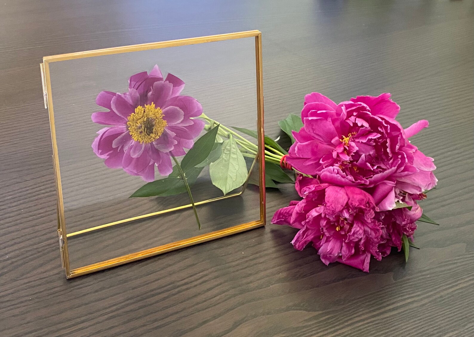 Set of 3 Double Glass Frame for Pressed Flowers Polaroid and - Etsy