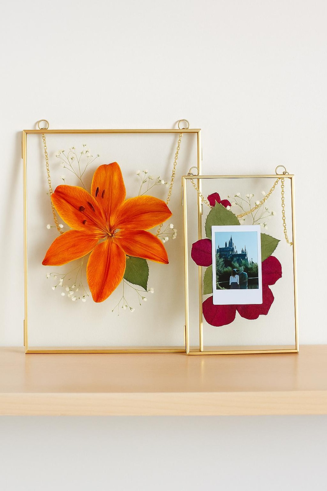 Set of 2 Double Glass Frames for Pressed Flowers, Photos & Art – Large ...