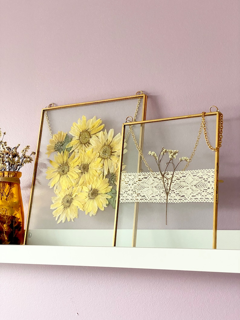 Set of 2 Double Glass Frame for Pressed Flowers Photos and - Etsy
