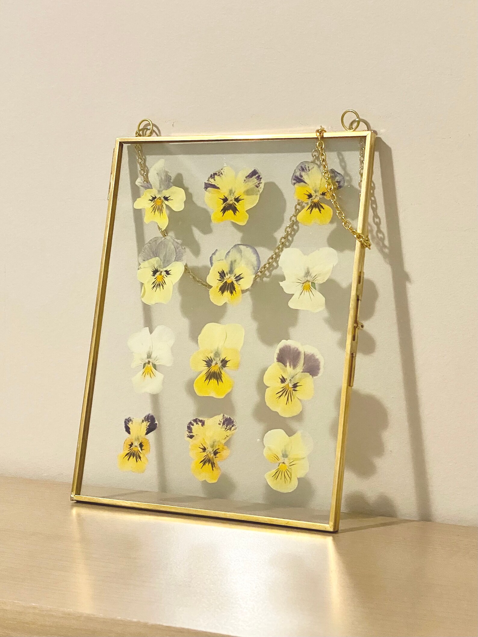 Set of 2 Double Glass Frame for Pressed Flowers Photos and - Etsy