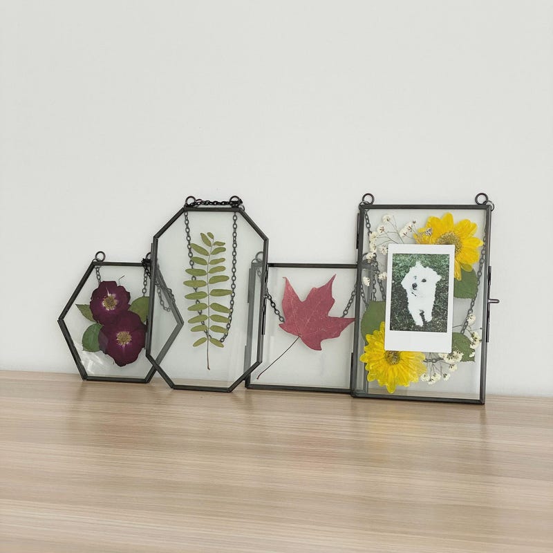 Double Glass Frame - Etsy