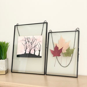 Set of 2 Double Glass Frame for Pressed Flowers, Photos and Artwork ...