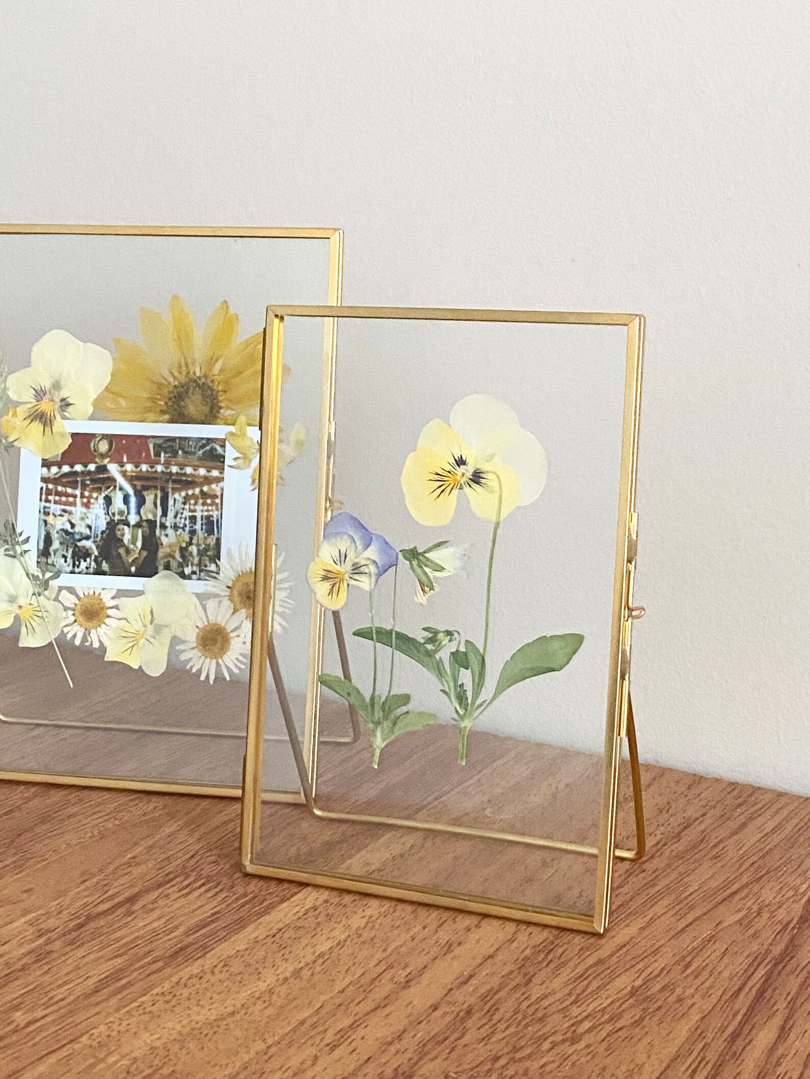 Set of 3 Double Glass Frame for Pressed Flowers, Polaroid and Artwork ...