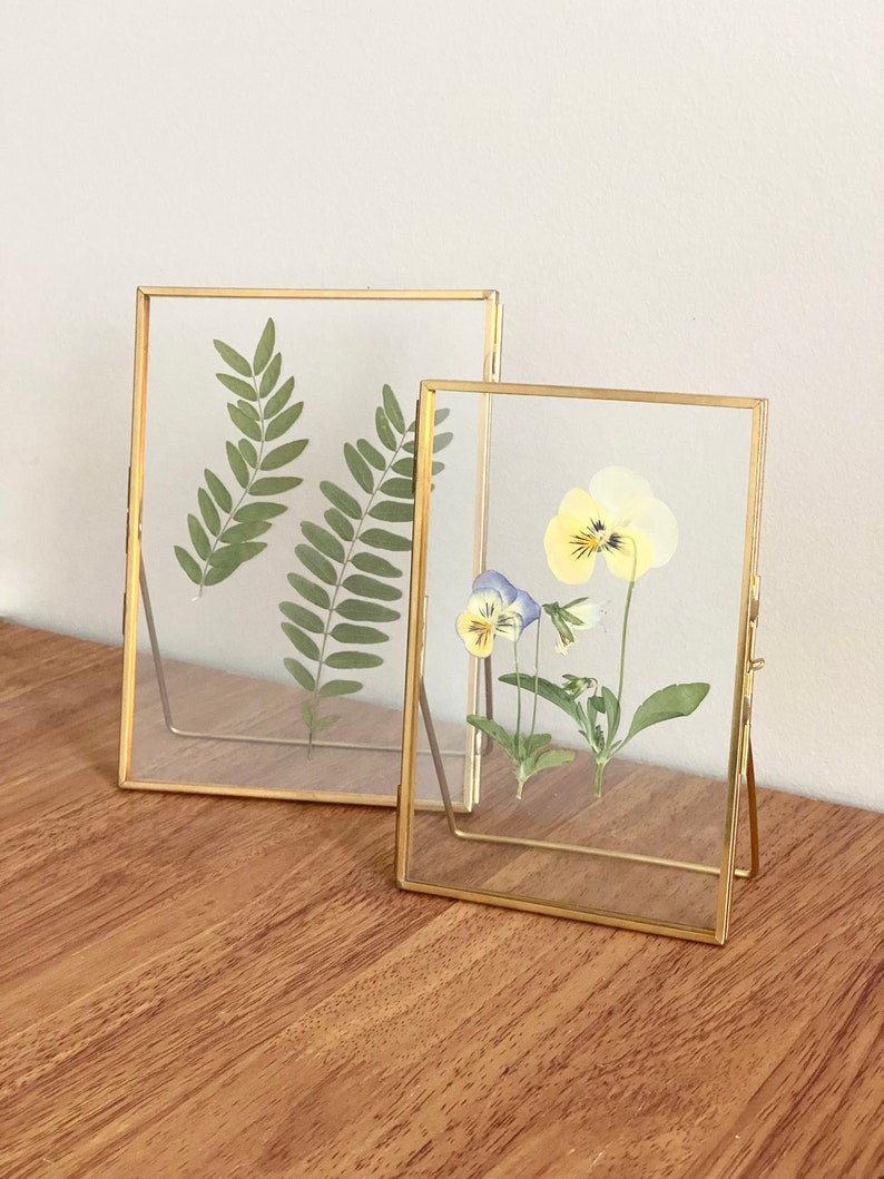 Set of 2 Glass Frame for Pressed Flowers Leaf and Artwork - Etsy