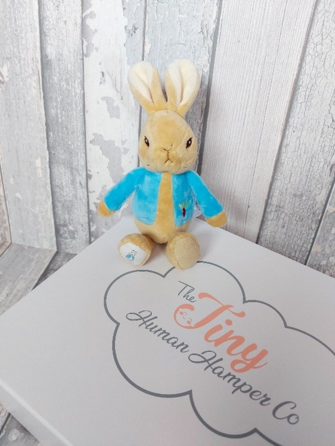 Peter Rabbit Bean Rattle Spring Baby Gifts Beatrix Potter - Etsy UK
