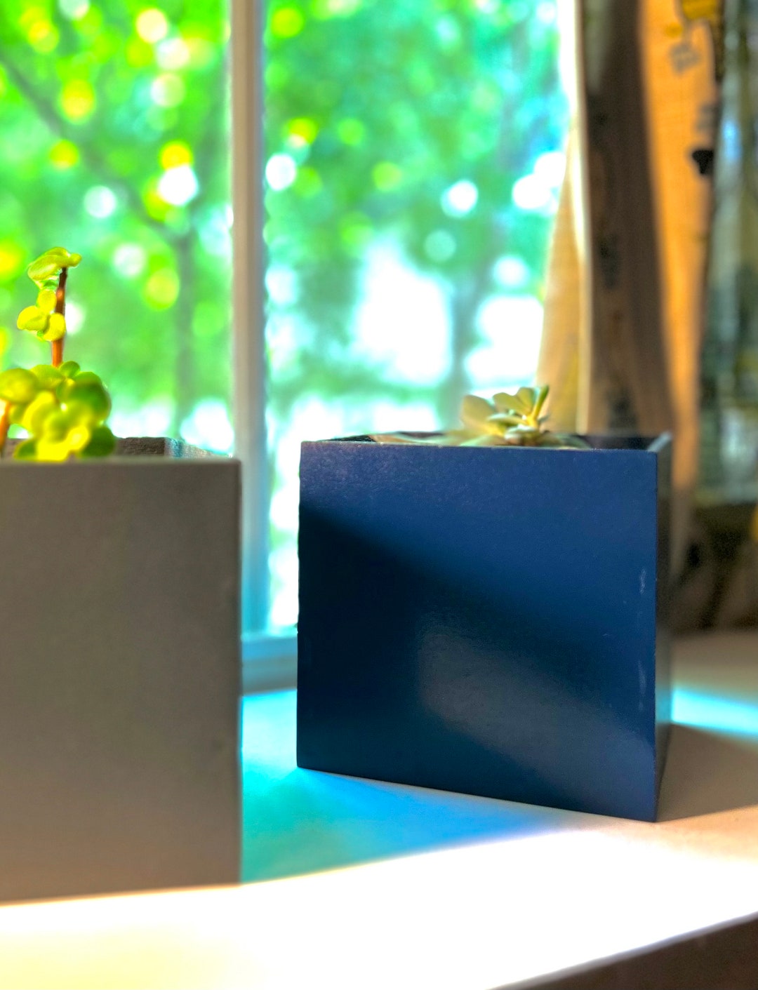 Blue Satin Indoor Cactus Planter With Drainage | Modern Geometric Plant ...