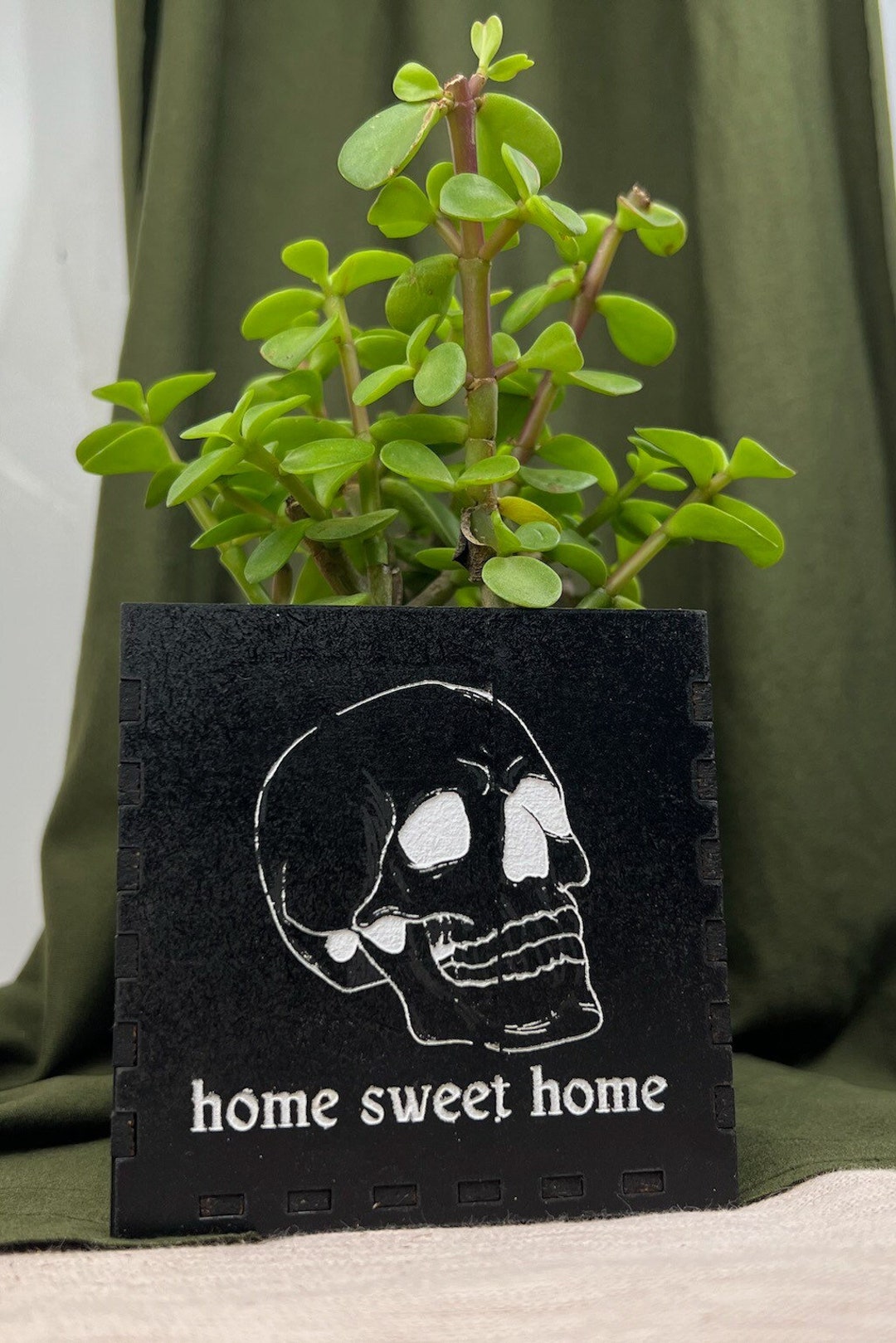 Skull Bone Planter, Skeleton Plant Pot, Home Sweet Home Succulent Plant ...