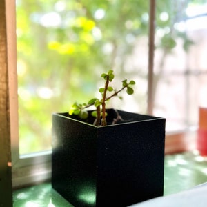 Handmade Planter Box With Drainaige | Unique Indoor Plant Pot in Black ...