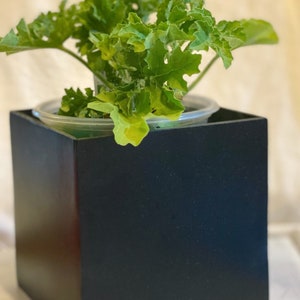 Handmade Planter Box With Drainaige | Unique Indoor Plant Pot in Black ...