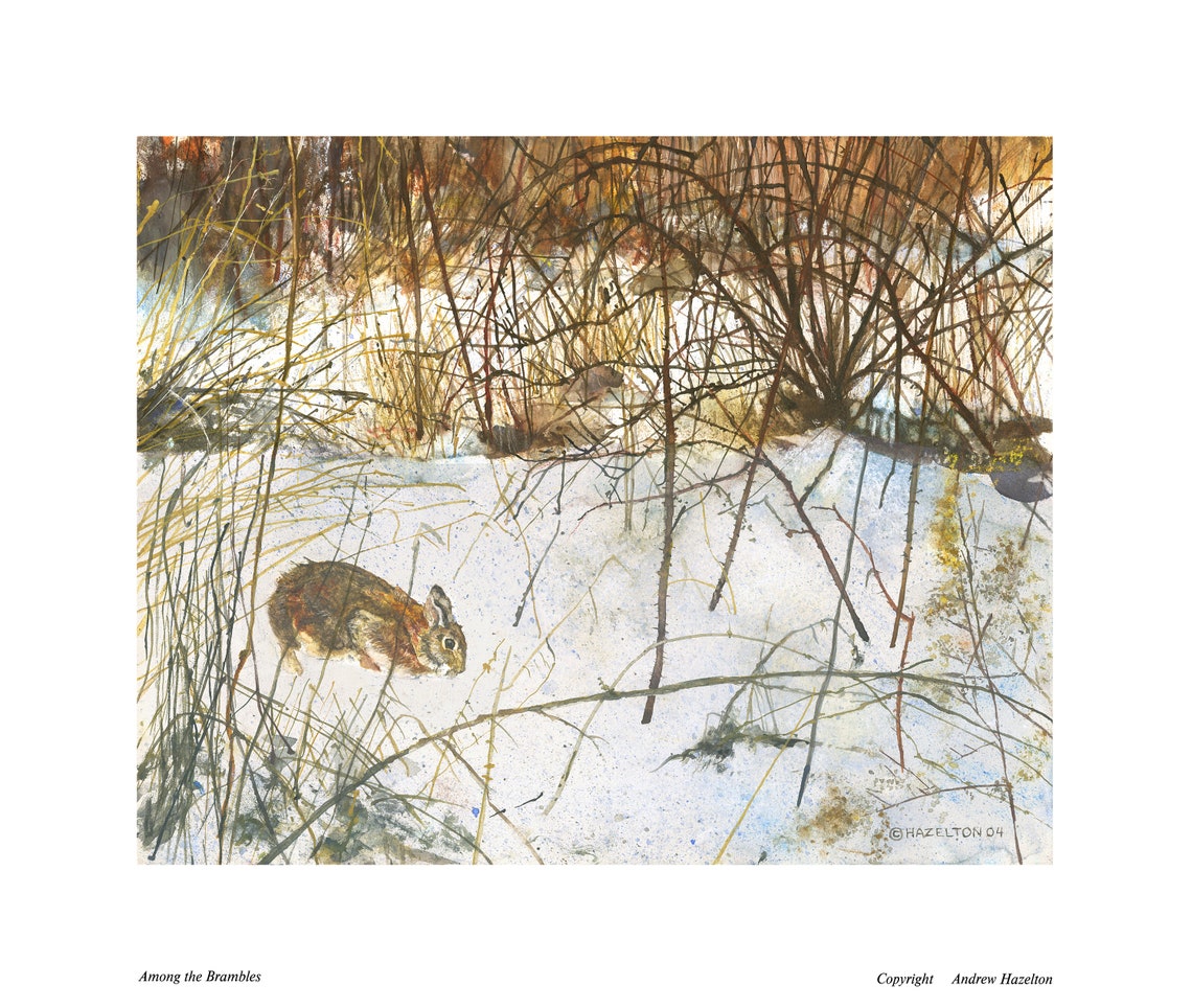 Among the Brambles, Open Edition, Giclée Print, Watercolor, 8"h X 10"w ...