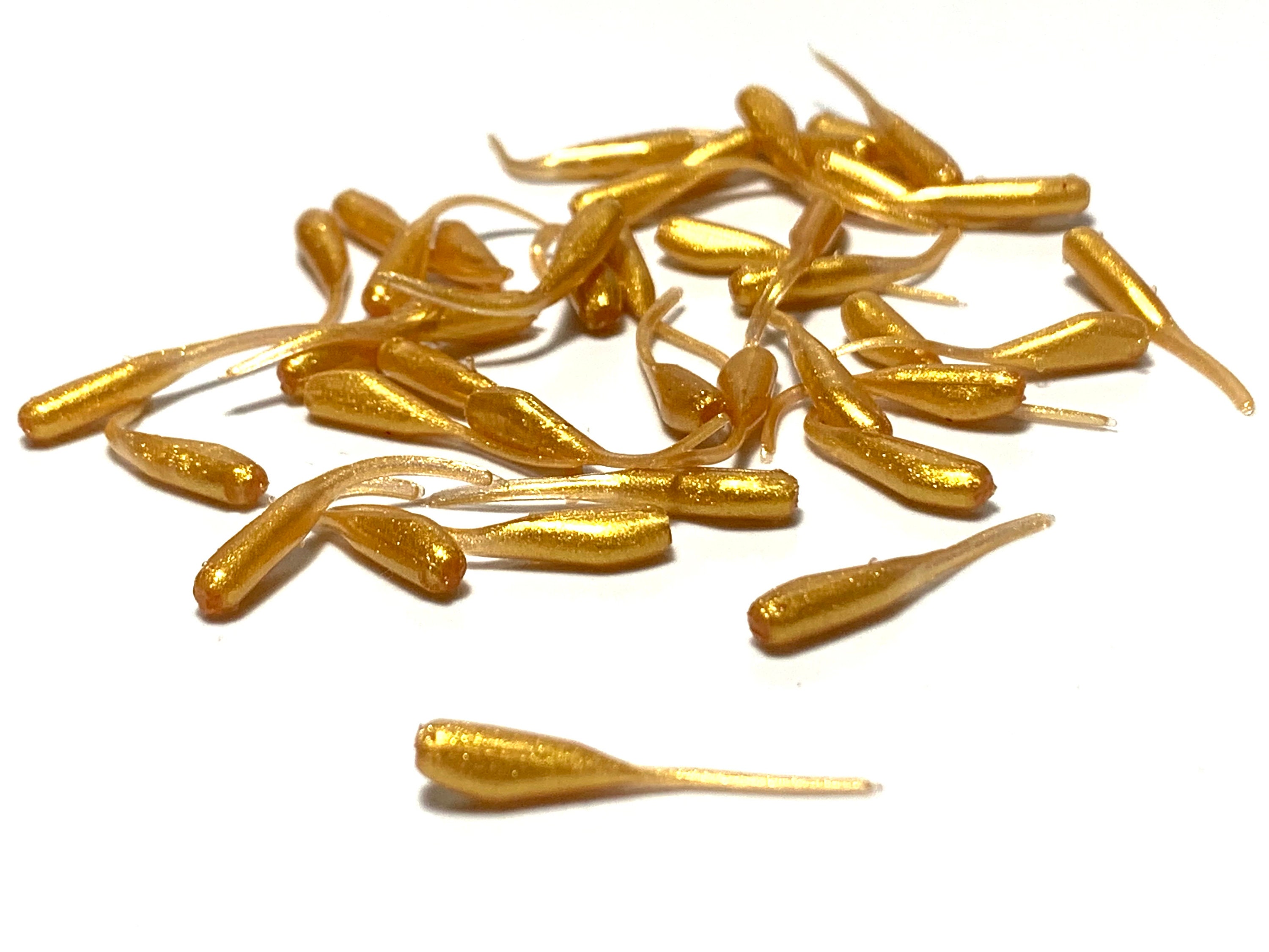 1 Inch Minnow 40 Minnows/pack - Etsy