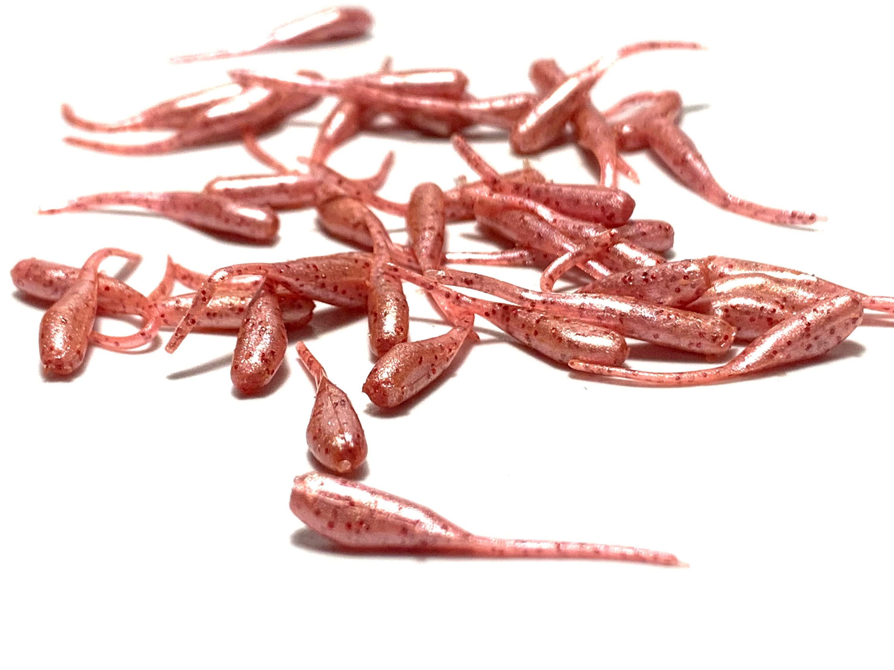 1 Inch Minnow 40 Minnows/pack - Etsy