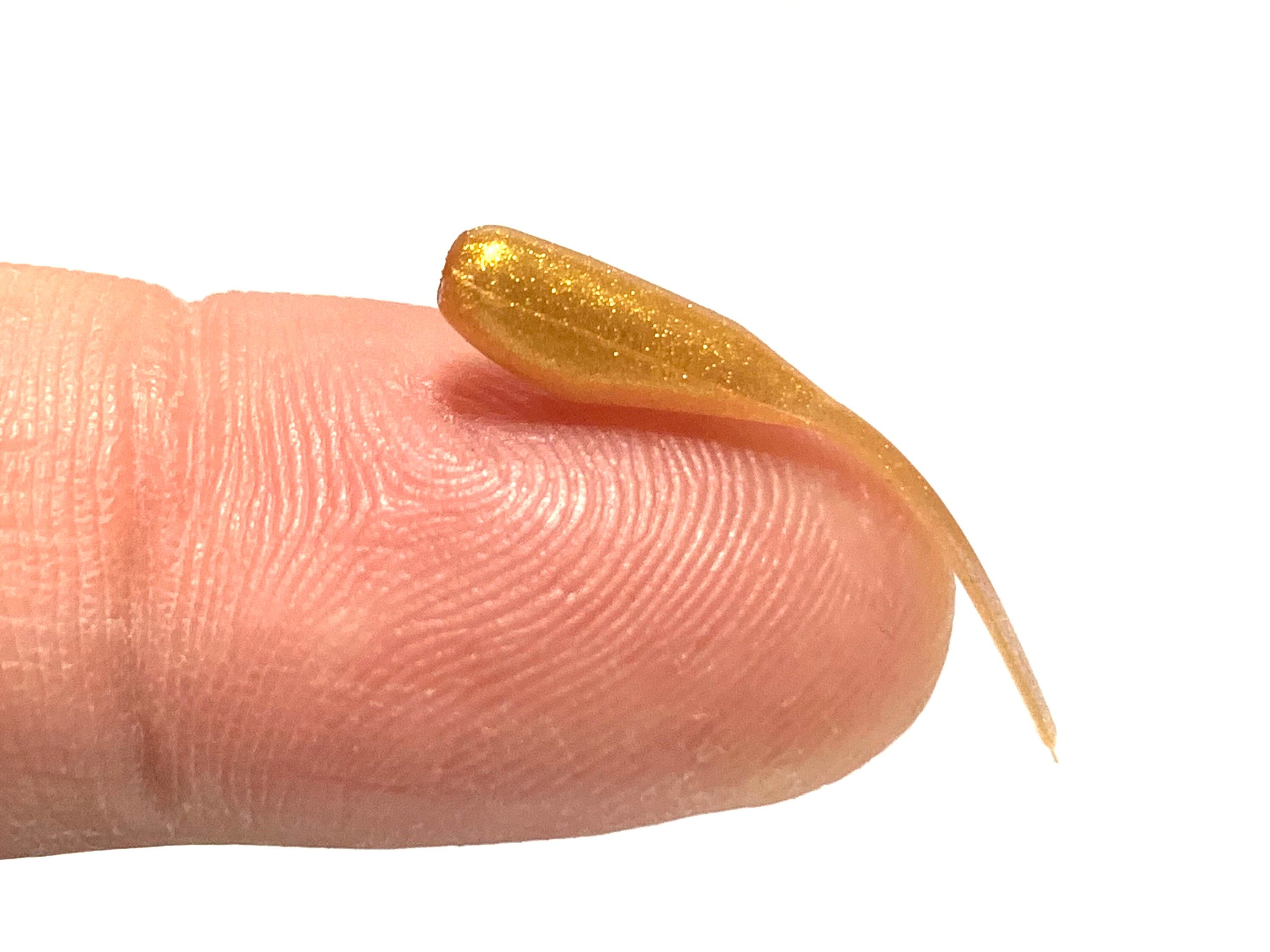 1 Inch Minnow 40 Minnows/pack - Etsy