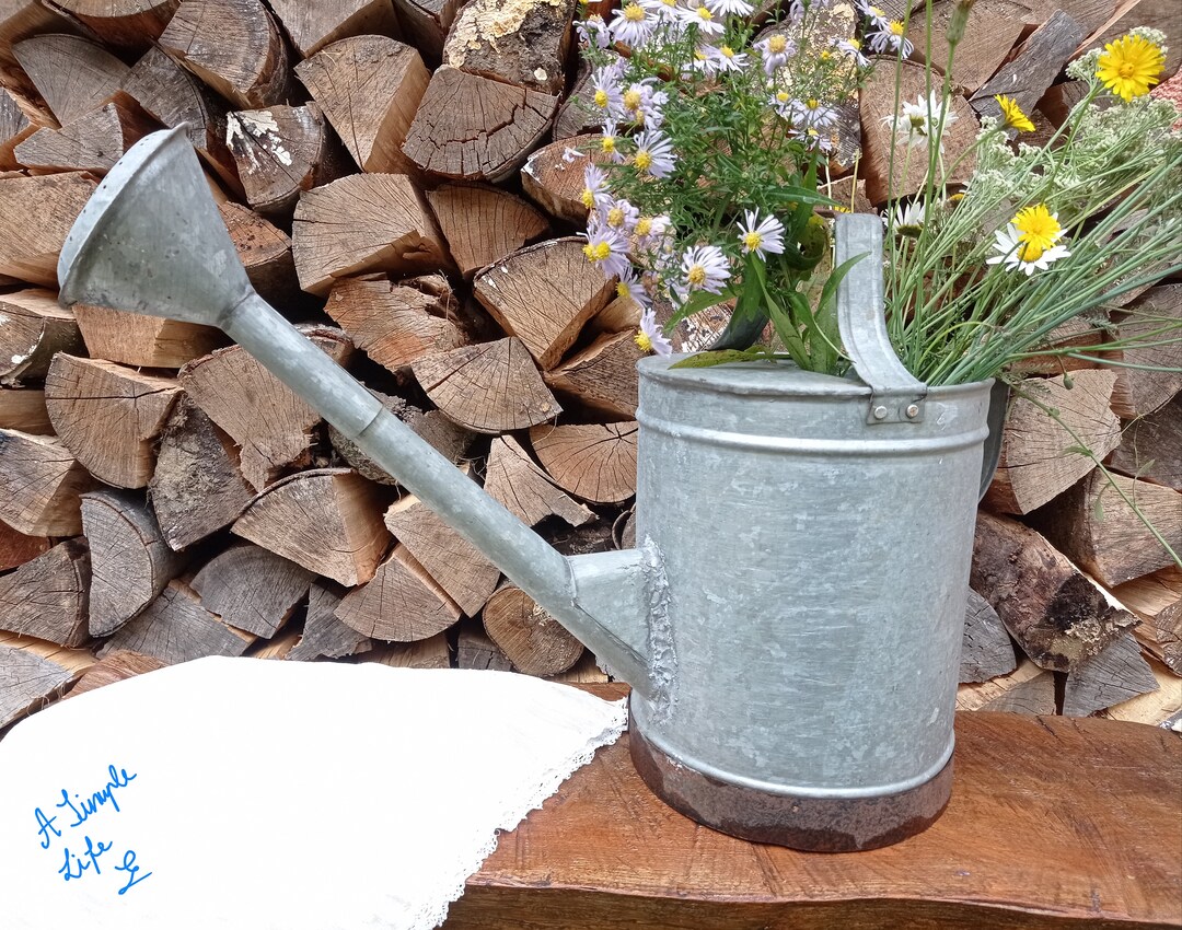 Vintage Watering Can - Decorative, Rustic, Country, Galvanized Zinc - Etsy