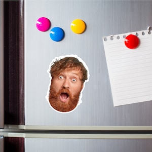 Custom Face Stickers - Sticker Sheet | 14 High Quality - Picture Decals ...