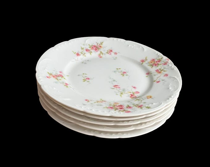 5 Antique Theodore Haviland Limoges, France Porcelain 8" Salad Plates ...