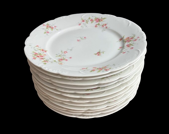 12 Antique Theodore Haviland Limoges, France Porcelain 10" Dinner ...