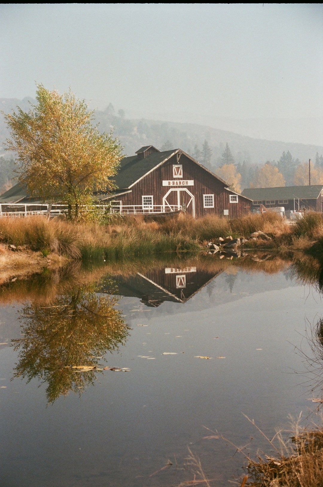 Lake Reflections - Photography Print - Etsy