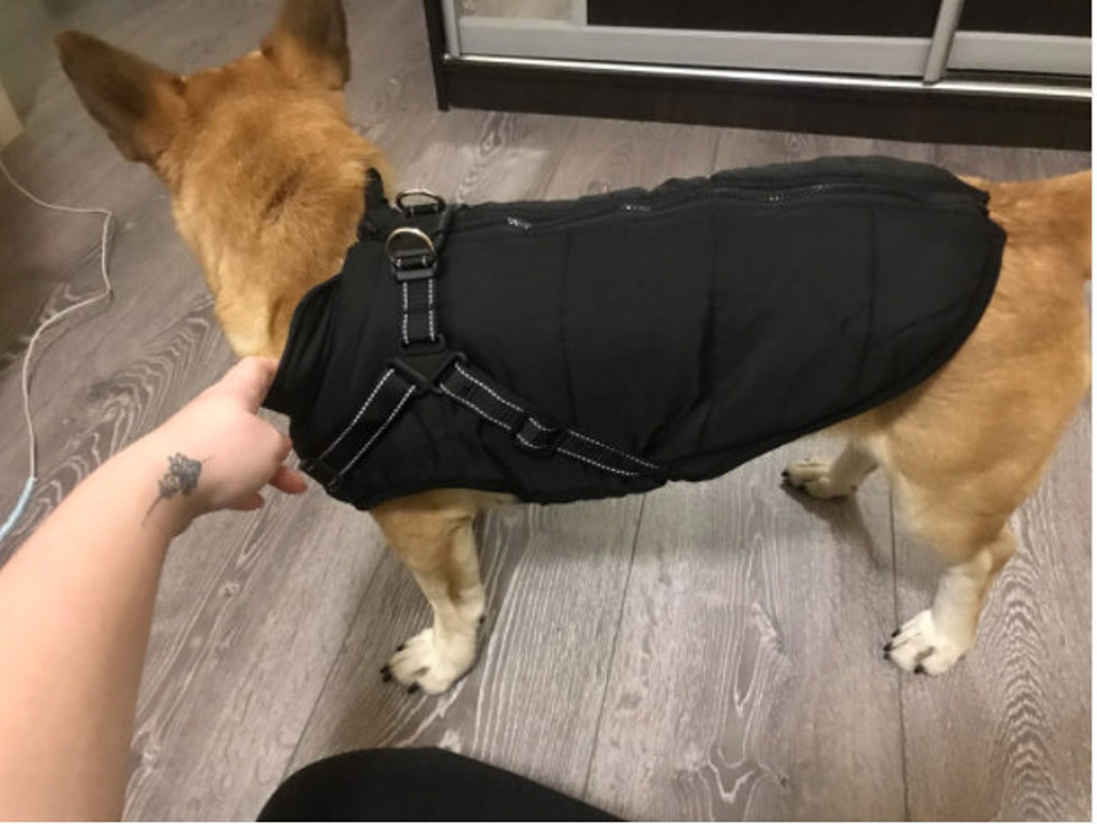 Waterproof Premium Fleece Lined Autumn/winter Dog Warm Padded - Etsy UK