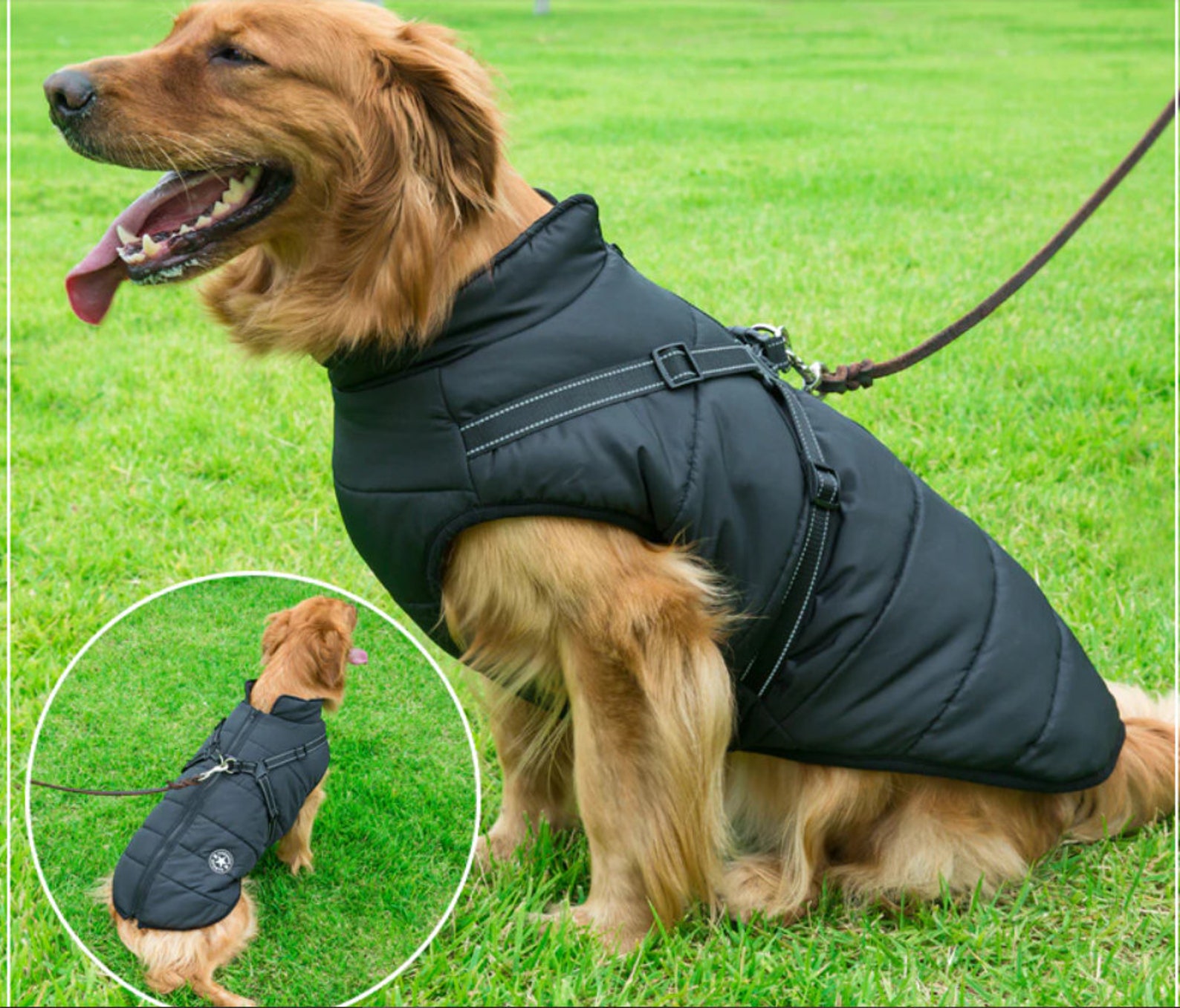 Waterproof Premium Fleece Lined Autumn/winter Dog Warm Padded - Etsy UK